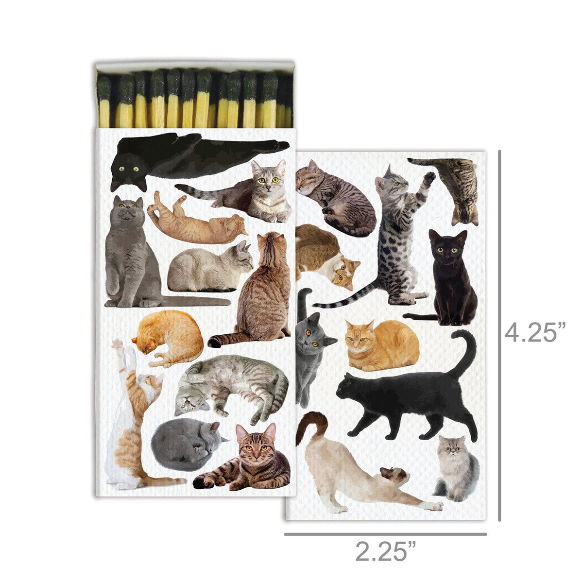 Cat Pack – Matchboxmart